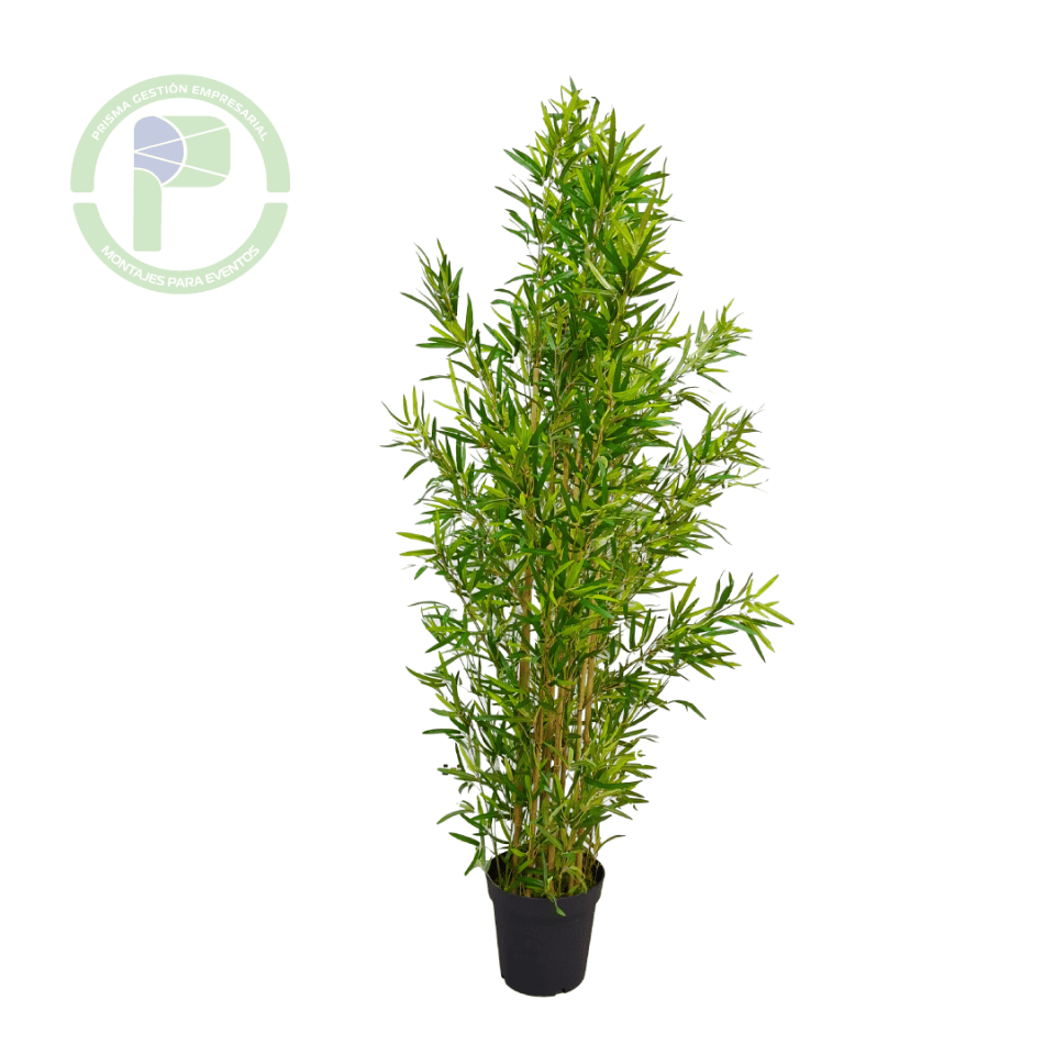 Bambú artificial / Prisma Montajes para Eventos